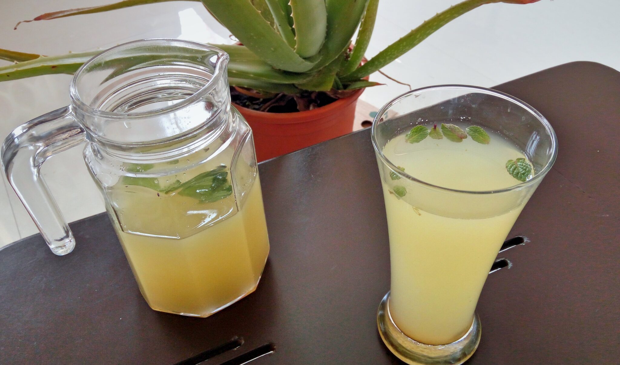 Aloevera Amla Juice | Detox Drink - Palate's Desire